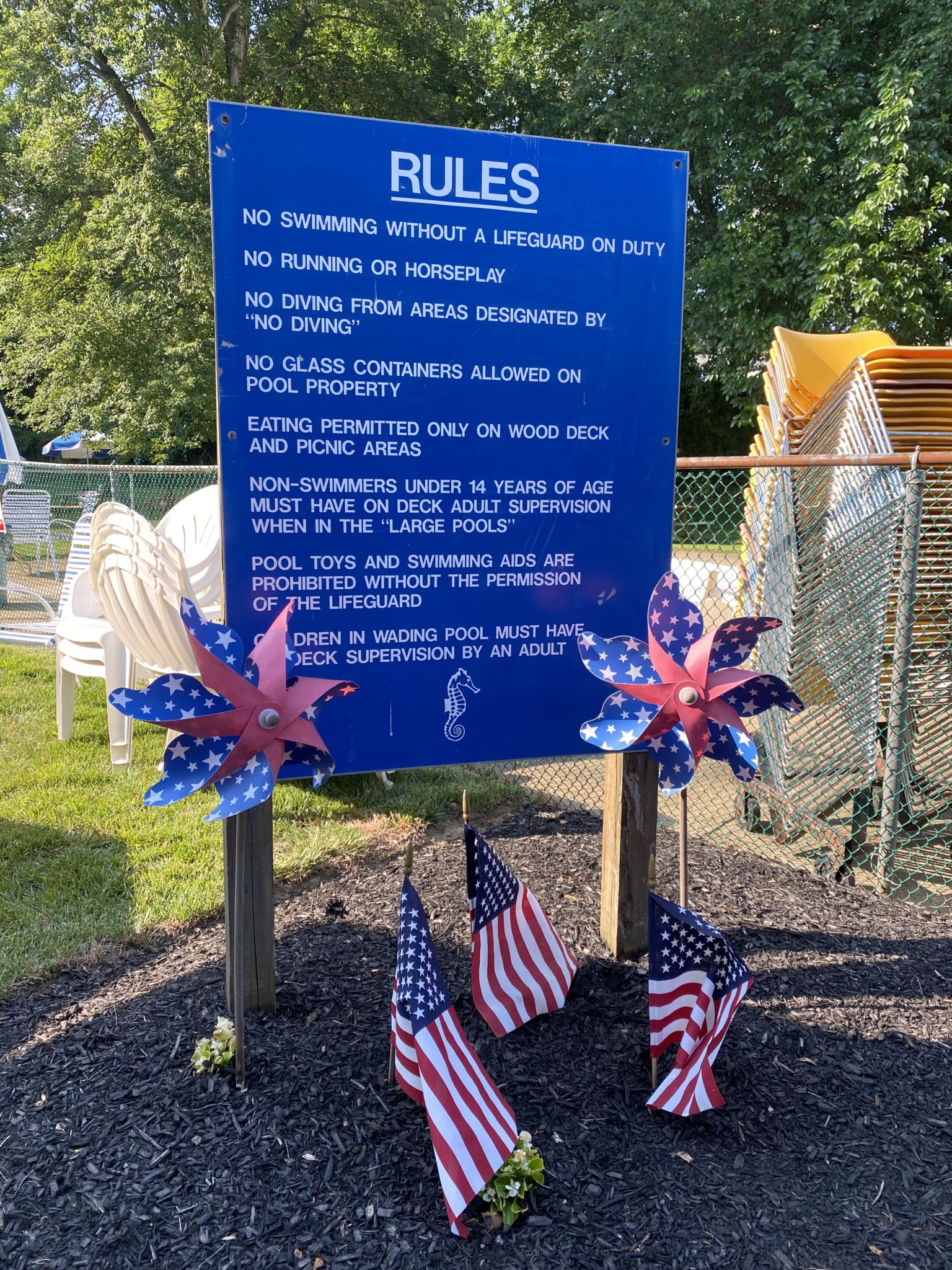 Swim Club - AMS Pools